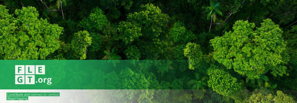 FLEGT VPA programme – ambitious legality assurance initiative continues ...