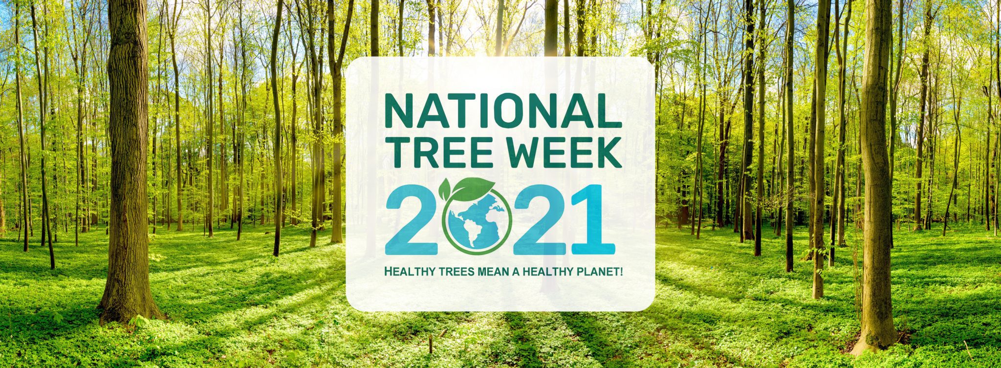 Government releases millions in funding for National Tree Week ...