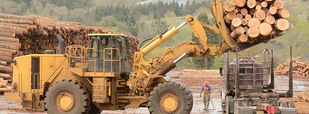 Everything you need to know about the timber industry’s new net zero ...